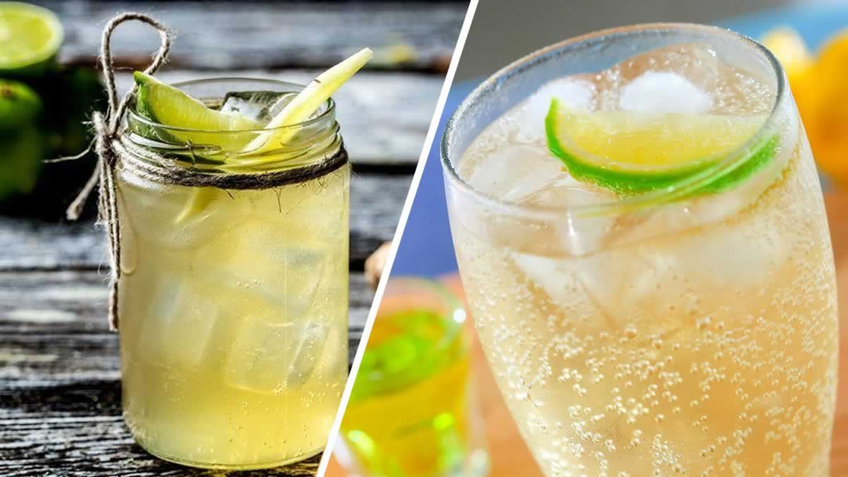 Spritzbier: Refrigerante caseiro de limão 100% natural - Portal Tudo Aqui Spritzbier: Refrigerante caseiro de limão 100% natural - Portal Tudo Aqui